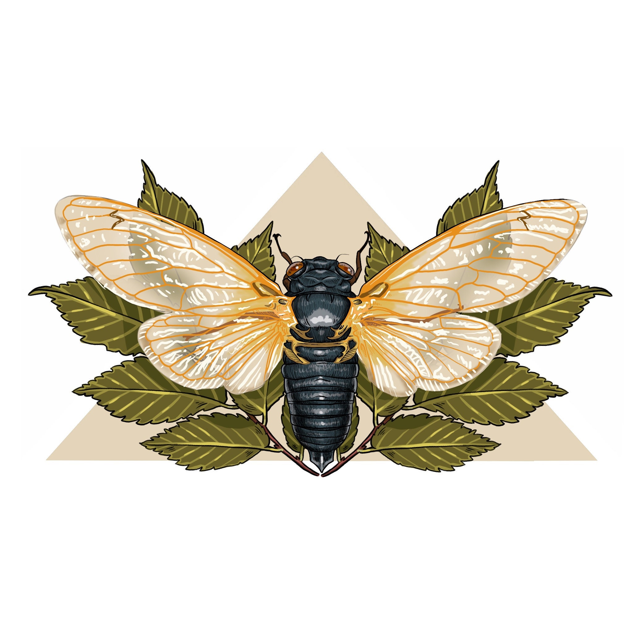 Cicada Print