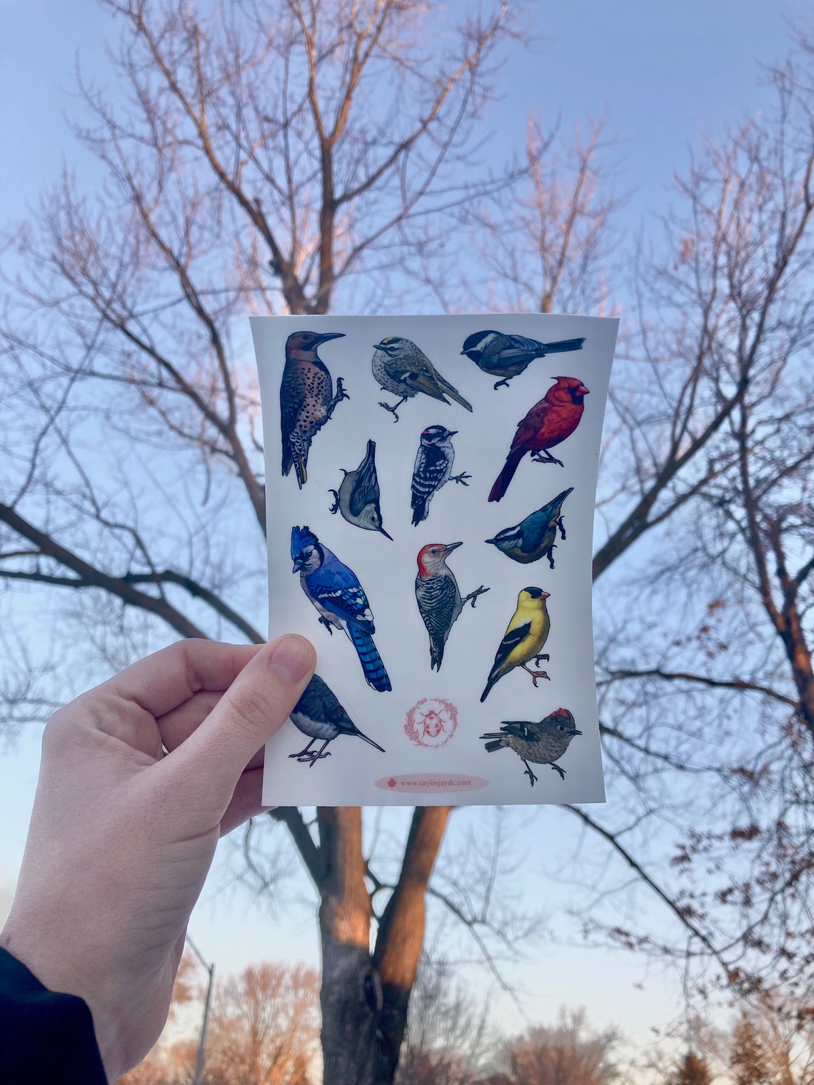 Bird Stickers | Etsy