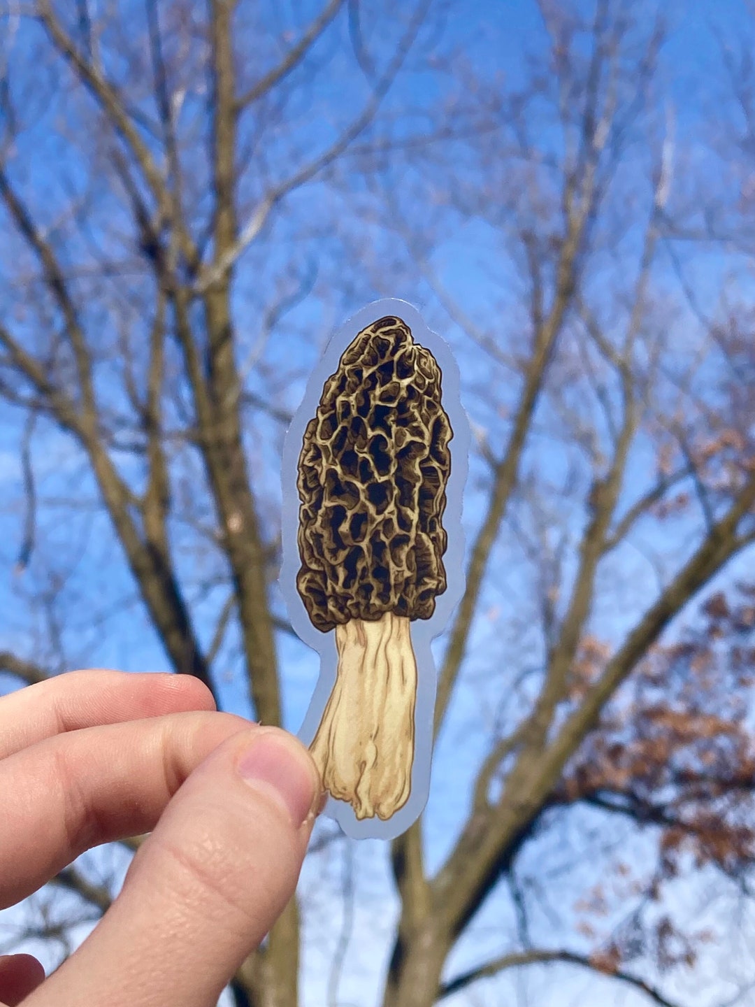 Morel Mushroom Sticker - Etsy