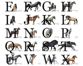 Horse Breeds Alphabet / A-Z Poster Horse Lover Gift Horse - Etsy