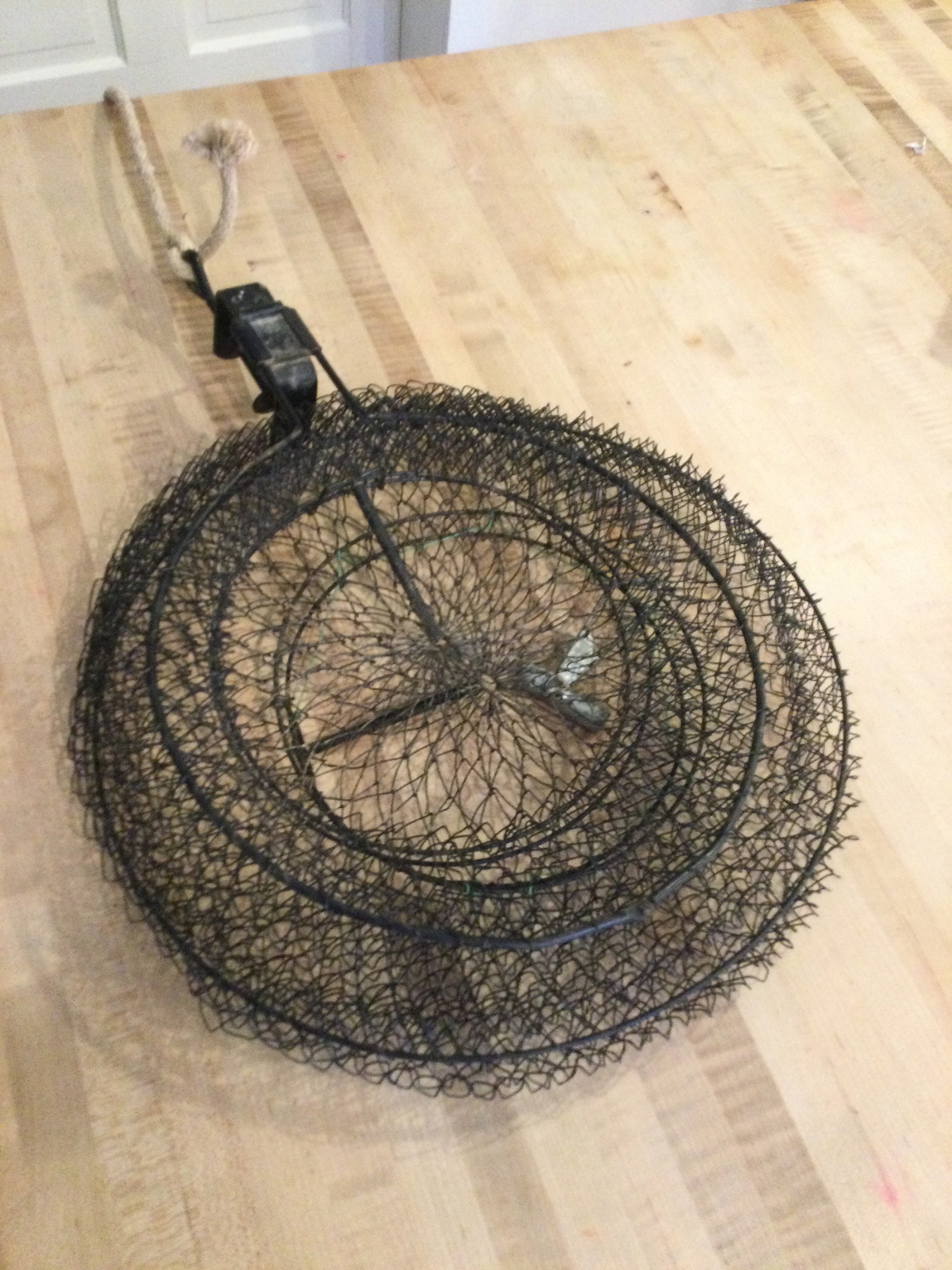 Vintage Collapsible Metal Wire Mesh Live Bait Fish Basket Cage With C ...