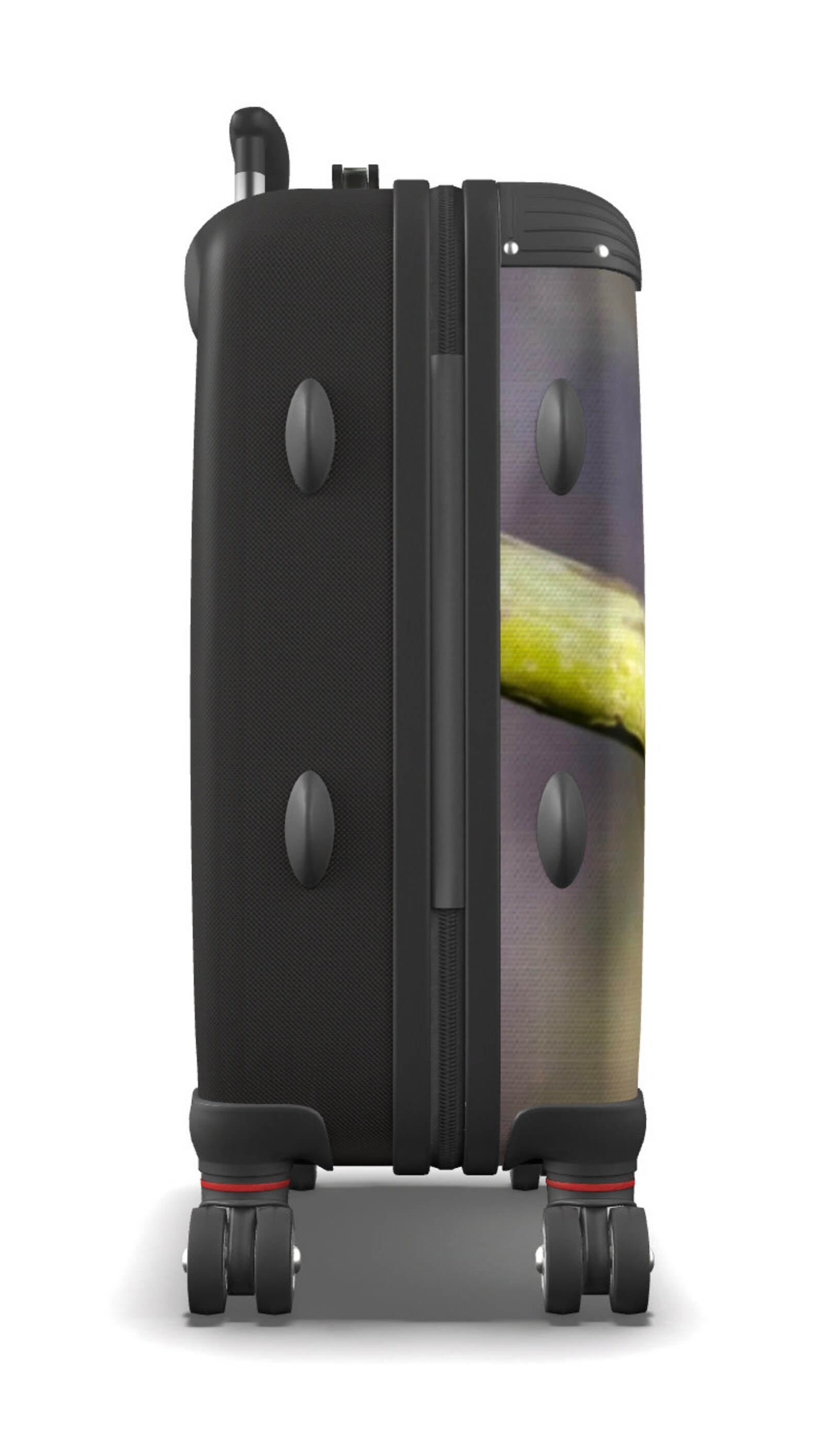 Eastern Blue Bird Suitcase - Etsy