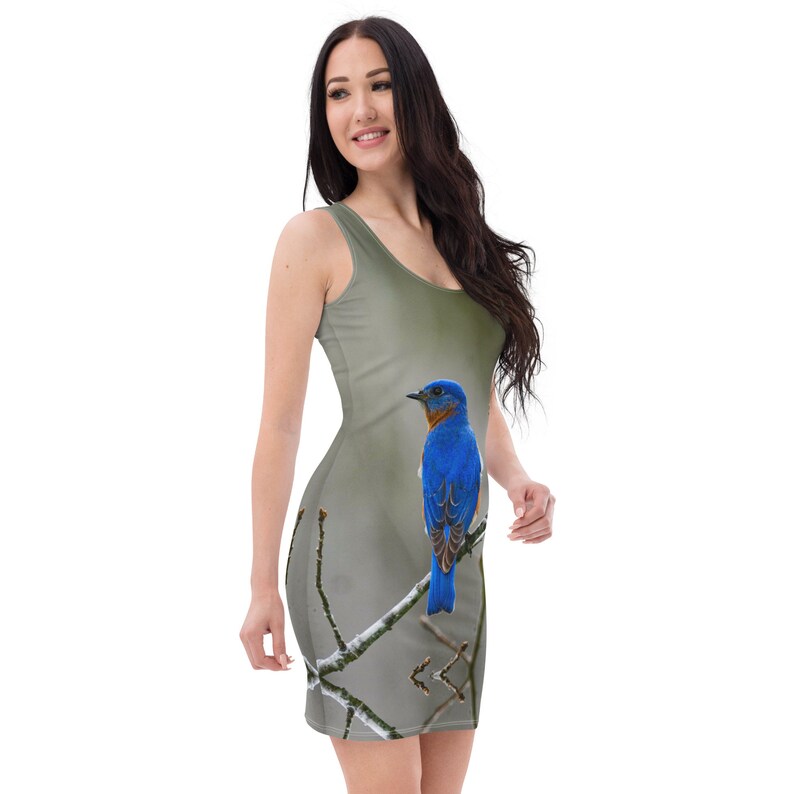 Eastern Blue Bird Body Print Dress dark Grey - Etsy
