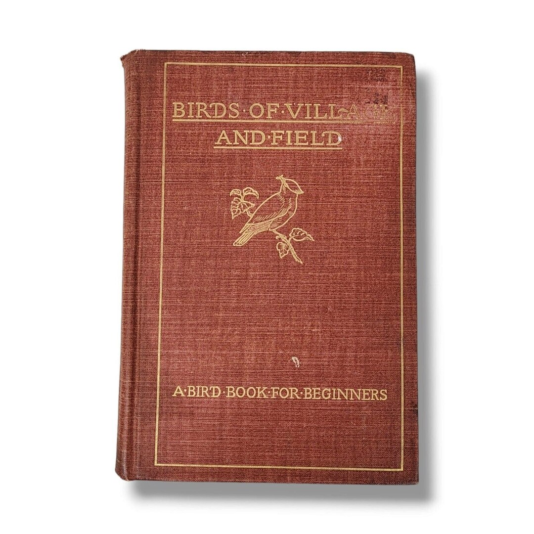 Birds of Village & Field A Bird Book for Beginners 1898 Florence ...