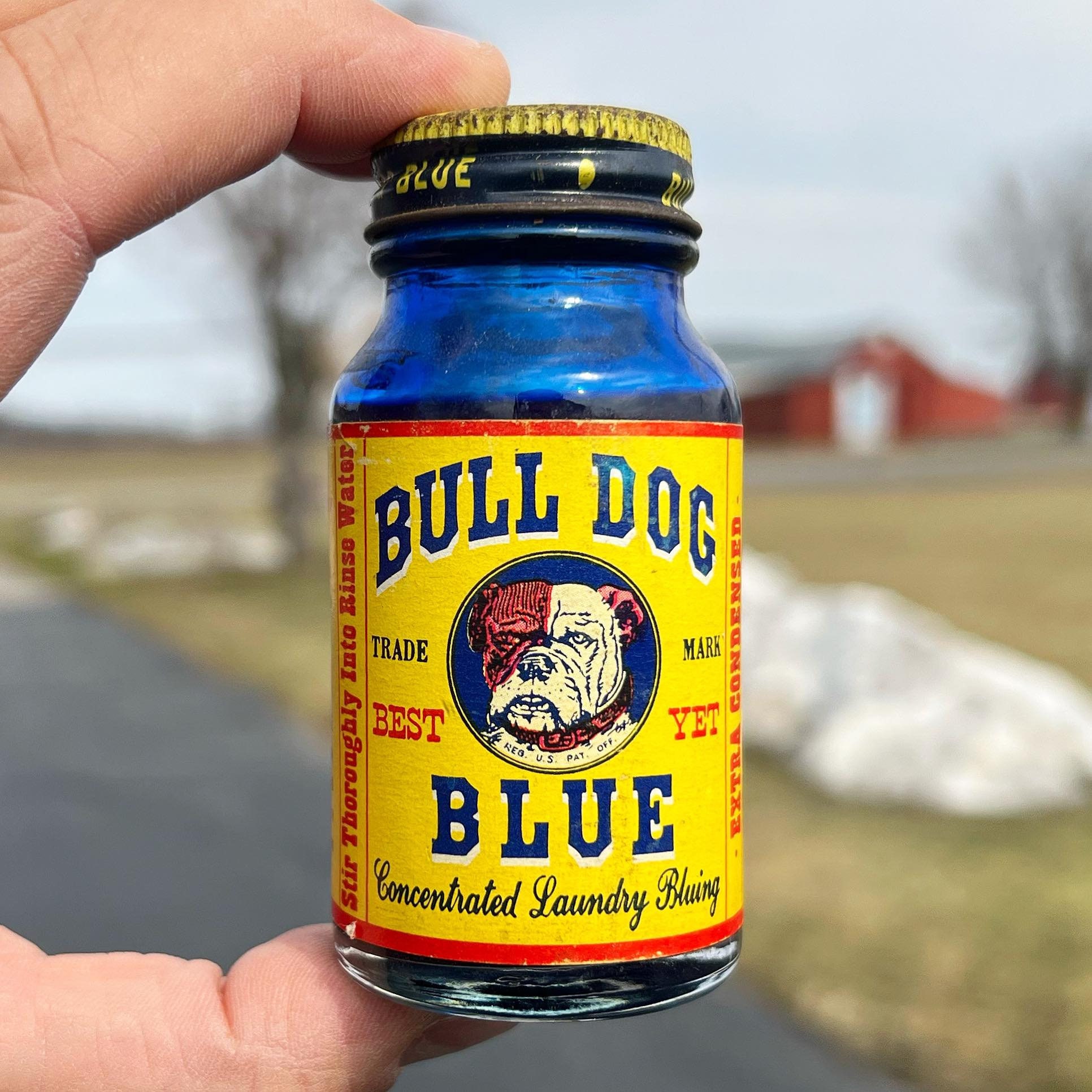 Bull Dog Blue Glass Bottle - Antique Advertising Vintage Bull Dog ...