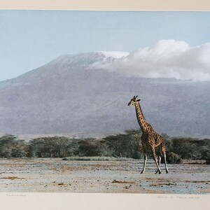 Arthur H. Firmin Hand Tinted Photograph - Giraffe at Mount Kilimanjaro ...