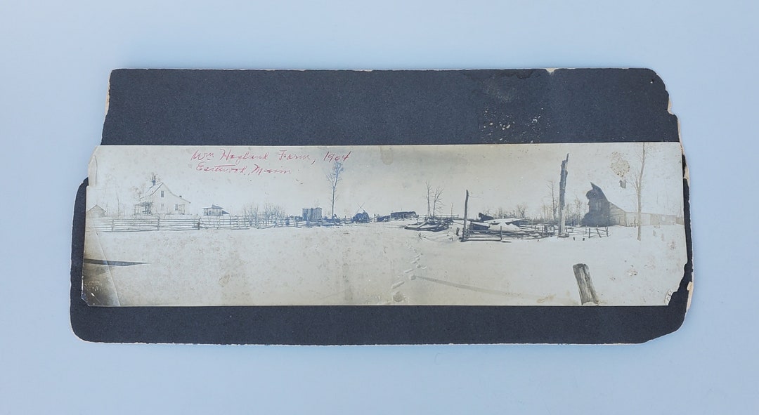 Antique Panoramic Photograph of William Haglund Farm 1904 - Eastwood ...