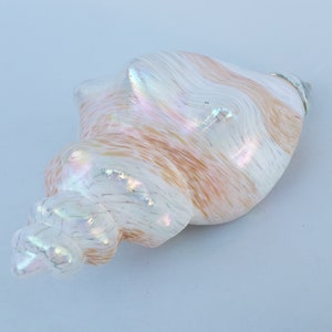 Glass Eye Studios Seattle Art Glass Conch Shell White and Gold ...