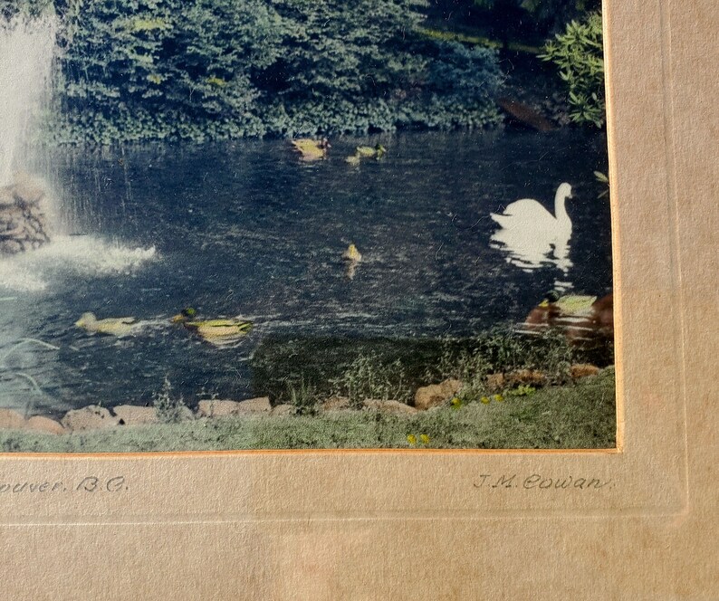 Vintage Stanley Park Vancouver British Columbia Hand Tinted Photograph ...