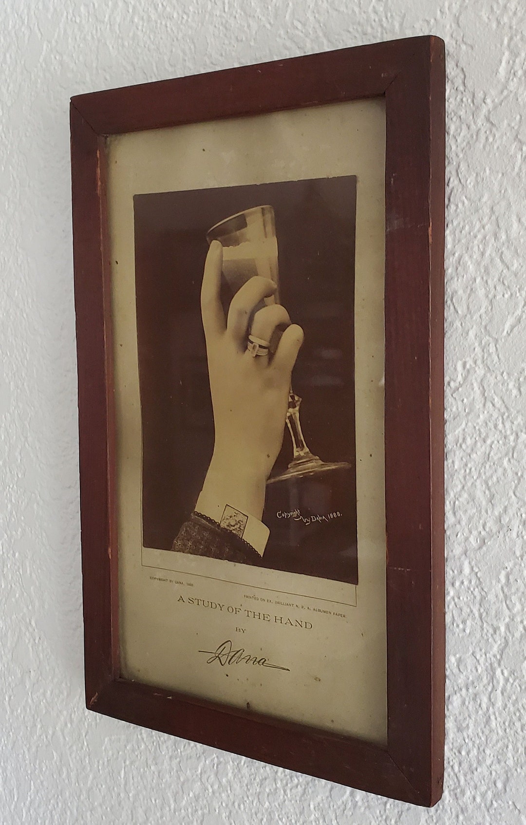 1888 Photograph by DANA - Titled the Study of the Hand by Dana - Hand ...