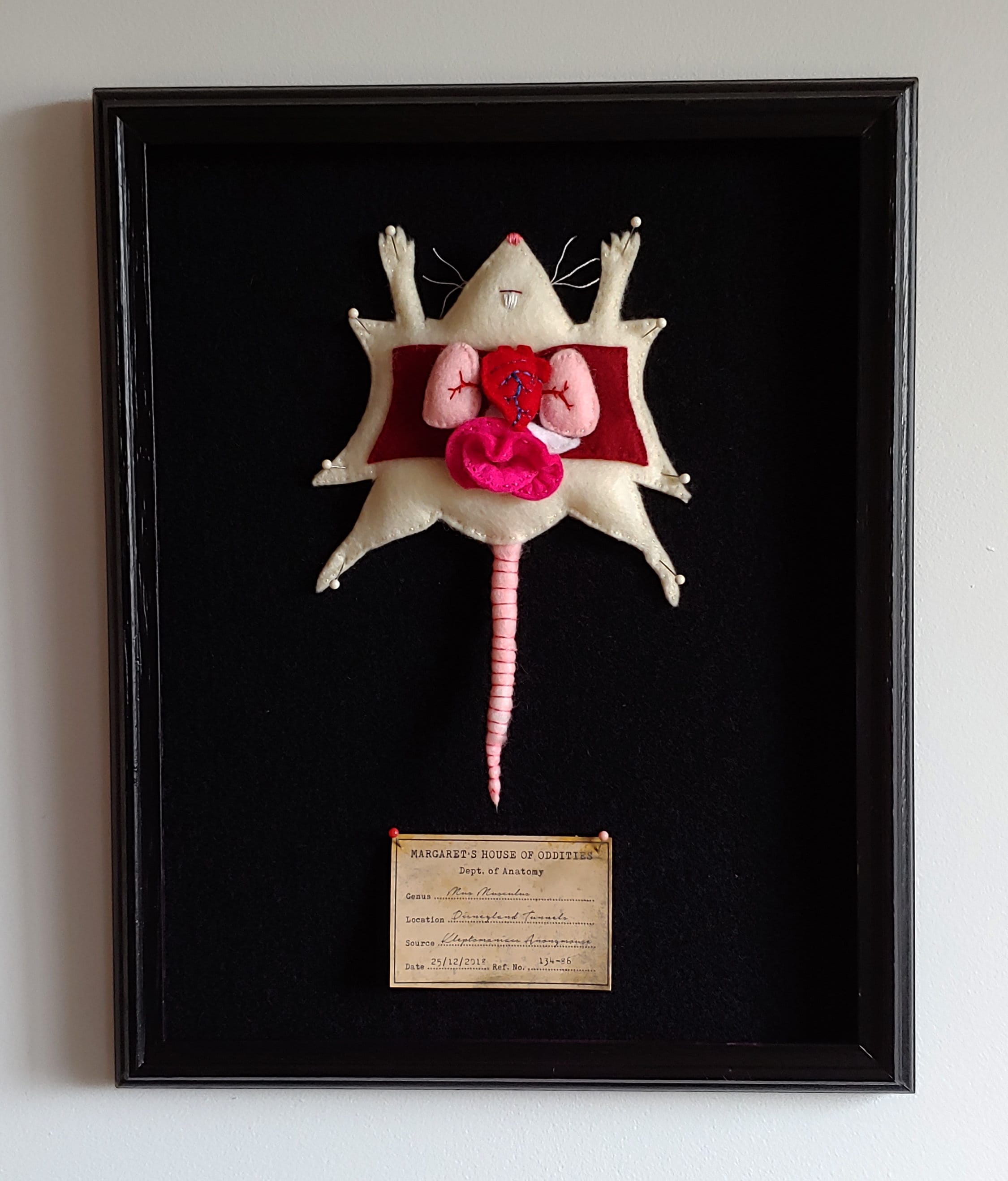 Mus Musculus Felt Anatomy Biology Gothic Creepy Cute - Etsy UK