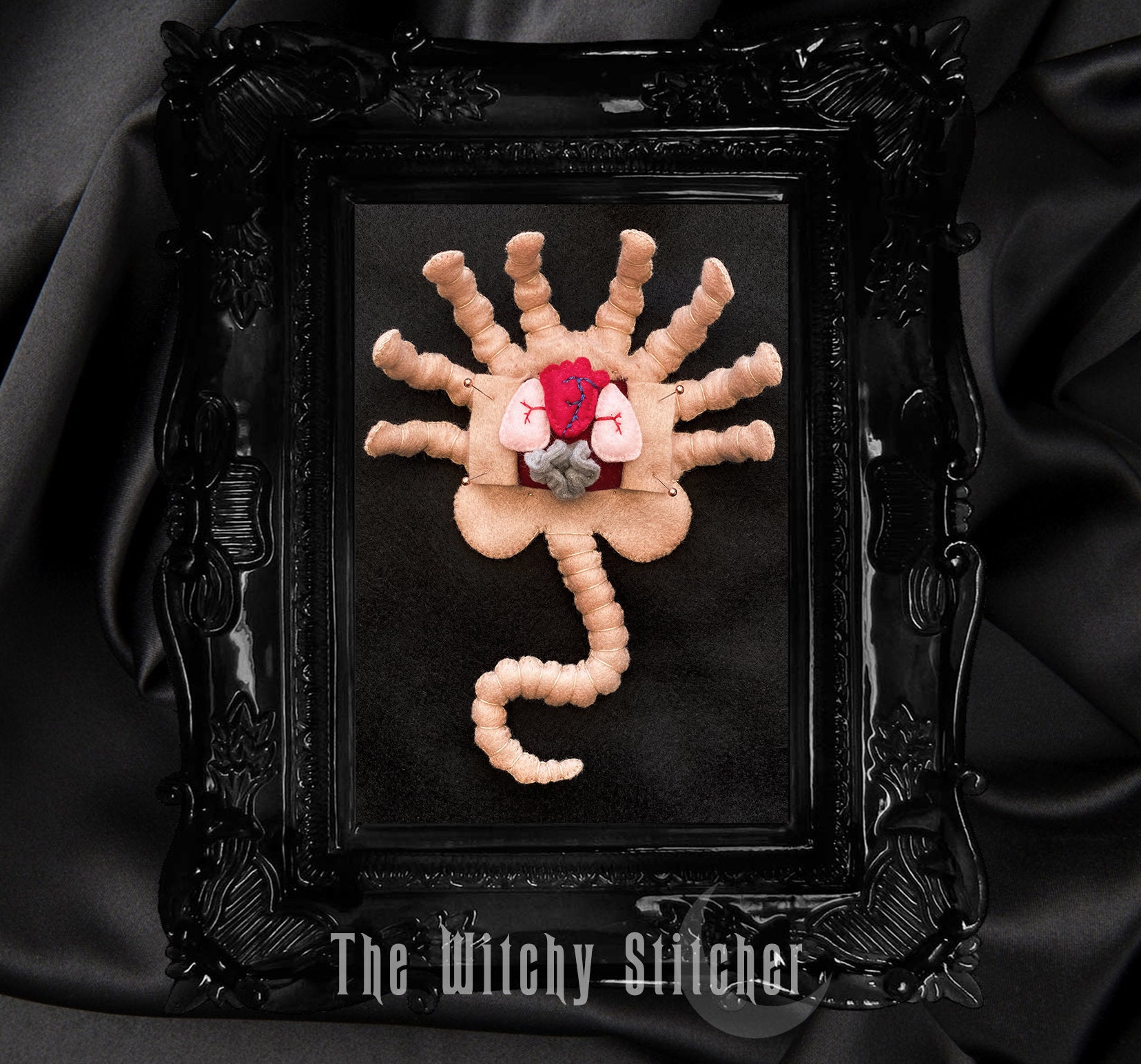 Facehugger Felt Anatomy Biology Aliens Nostromo Chest - Etsy