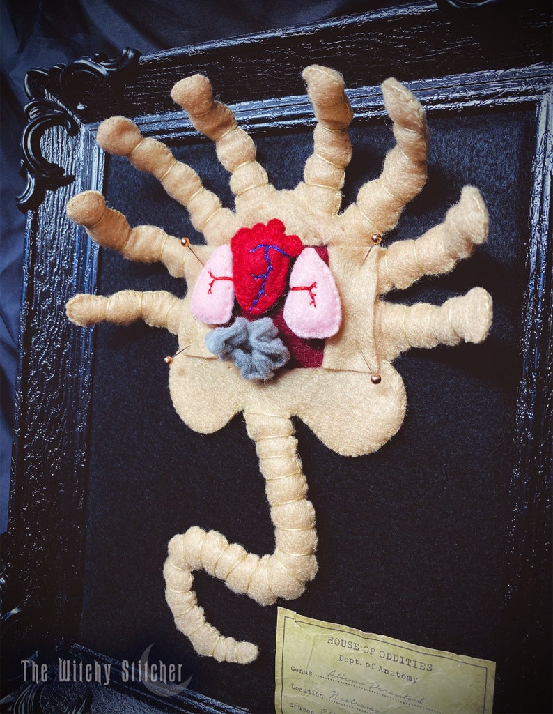 Facehugger - Felt Anatomy - Biology, Aliens, Nostromo, Chest Burster ...