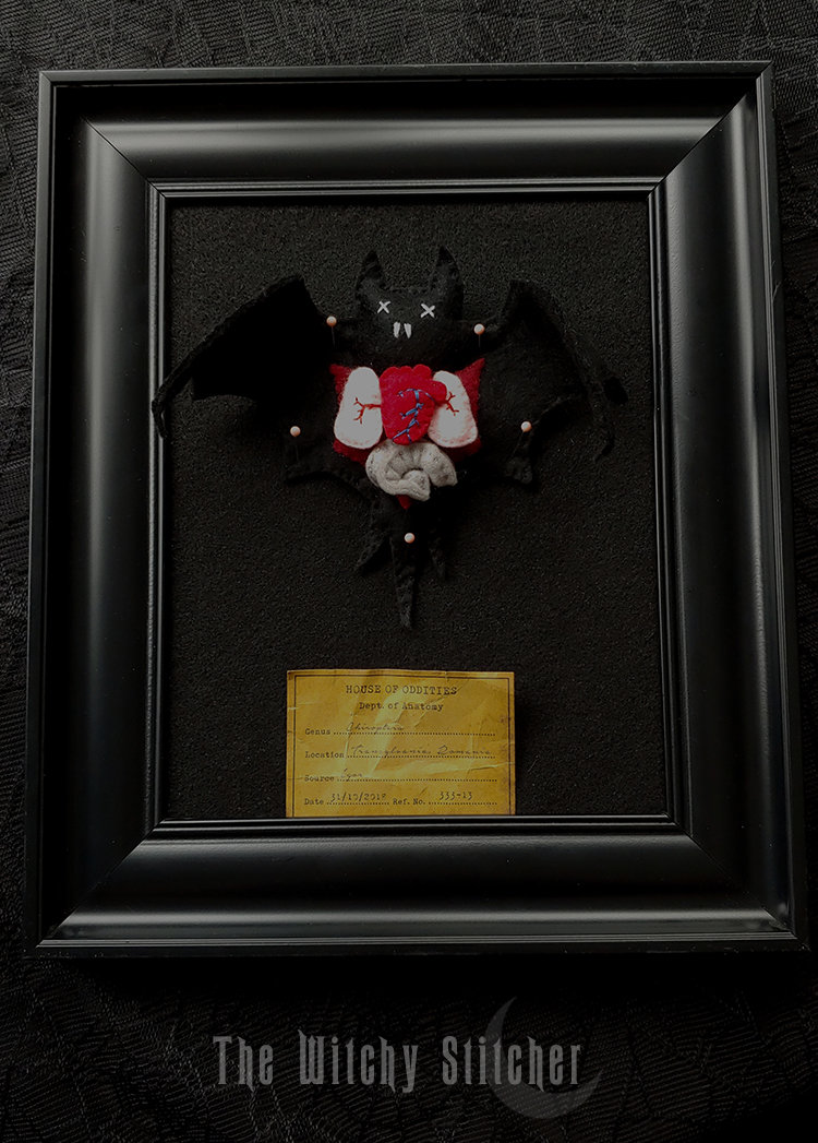 Chiroptera - Felt Anatomy - Biology, Gothic, Creepy, Cute, Halloween ...