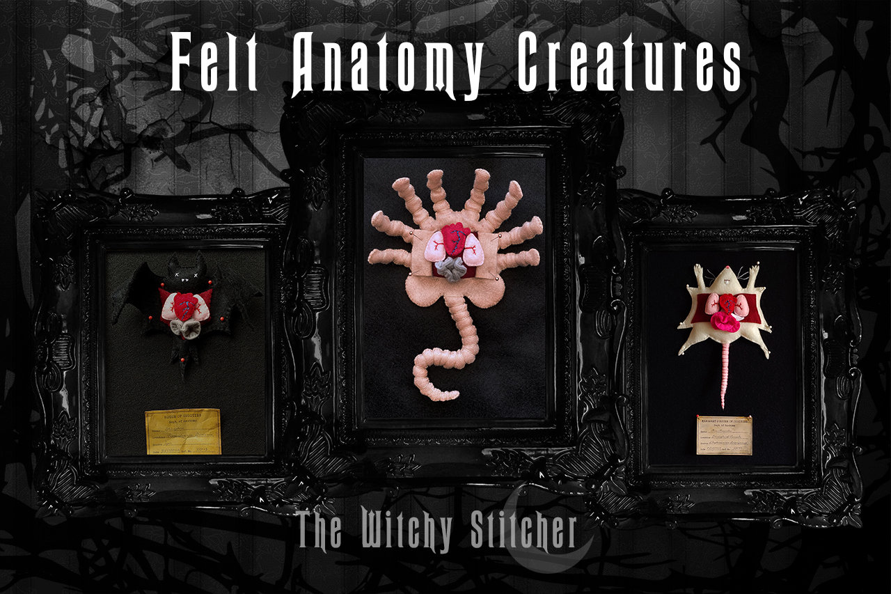 Mus Musculus Felt Anatomy Biology Gothic Creepy Cute - Etsy