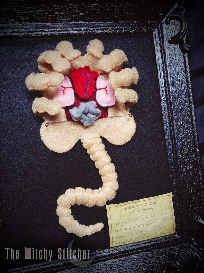 Facehugger - Felt Anatomy - Biology, Aliens, Nostromo, Chest Burster ...