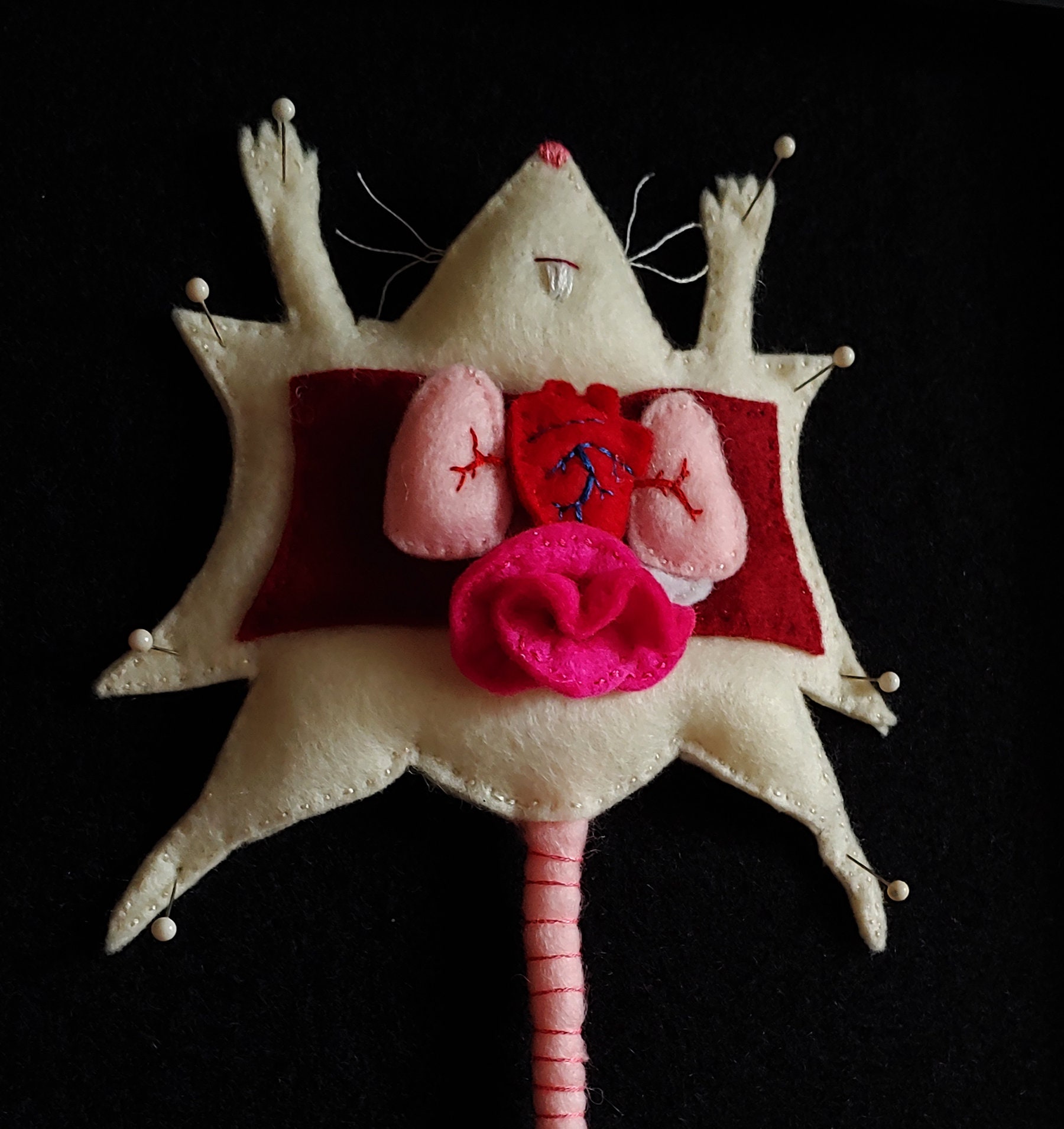 Mus Musculus Felt Anatomy Biology Gothic Creepy Cute - Etsy Canada
