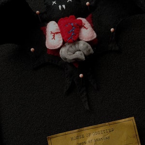 Chiroptera - Felt Anatomy - Biology, Gothic, Creepy, Cute, Halloween ...