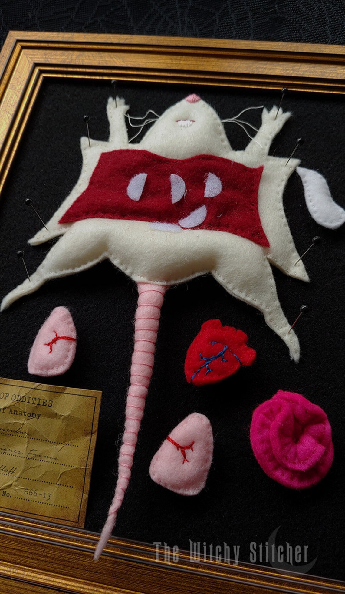 Mus Musculus Felt Anatomy Biology Gothic Creepy Cute - Etsy Canada