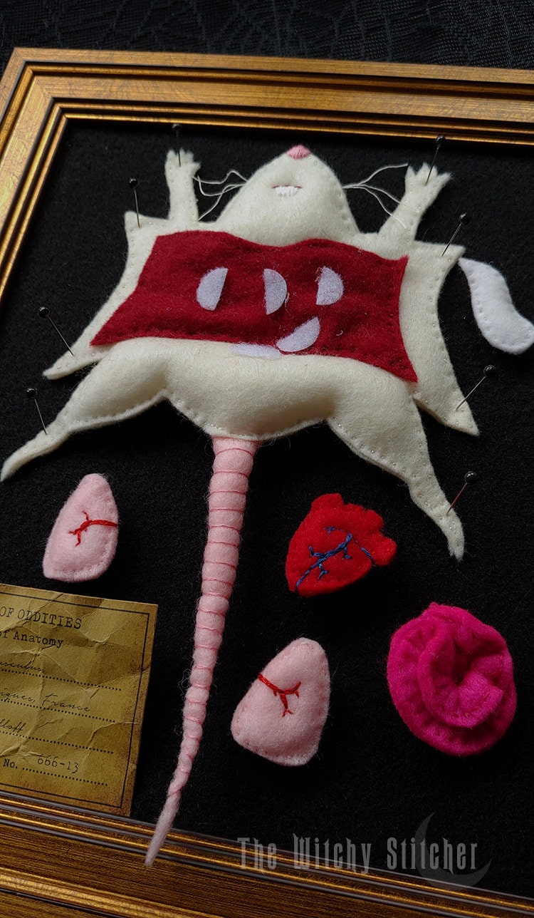 Mus Musculus Felt Anatomy Biology Gothic Creepy Cute - Etsy Canada