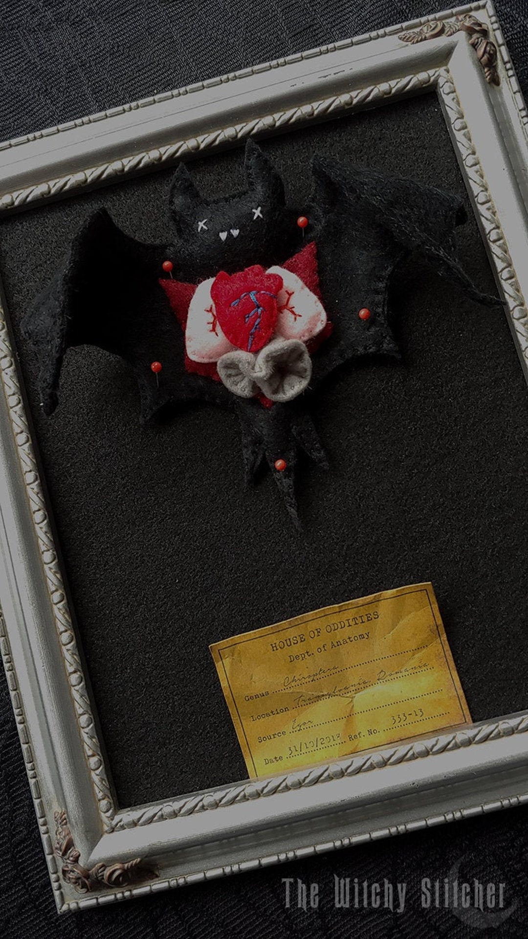 Chiroptera - Felt Anatomy - Biology, Gothic, Creepy, Cute, Halloween ...