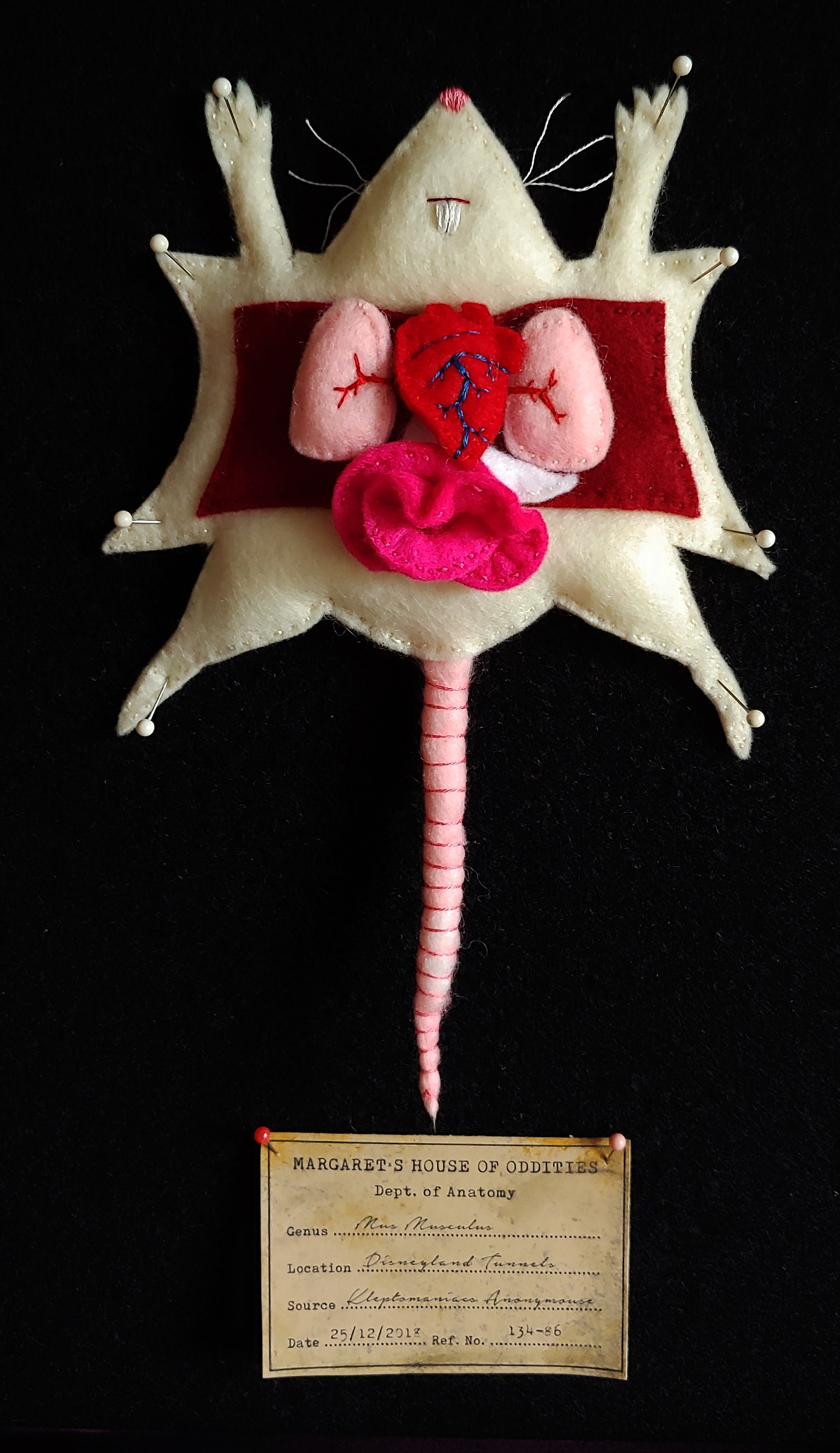 Mus Musculus Felt Anatomy Biology Gothic Creepy Cute - Etsy UK
