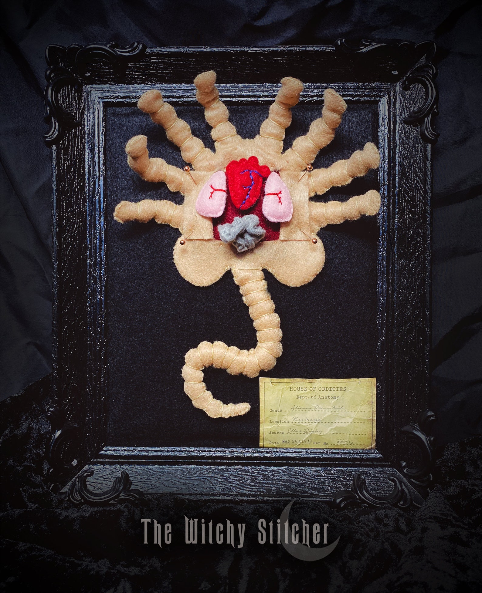 Facehugger Felt Anatomy Biology, Aliens, Nostromo, Chest Burster ...