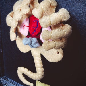 Facehugger - Felt Anatomy - Biology, Aliens, Nostromo, Chest Burster ...