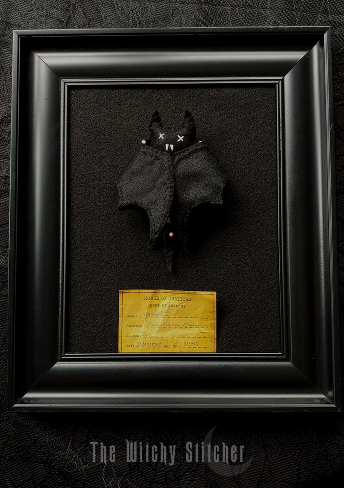 Chiroptera Felt Anatomy Biology Gothic Creepy Cute - Etsy