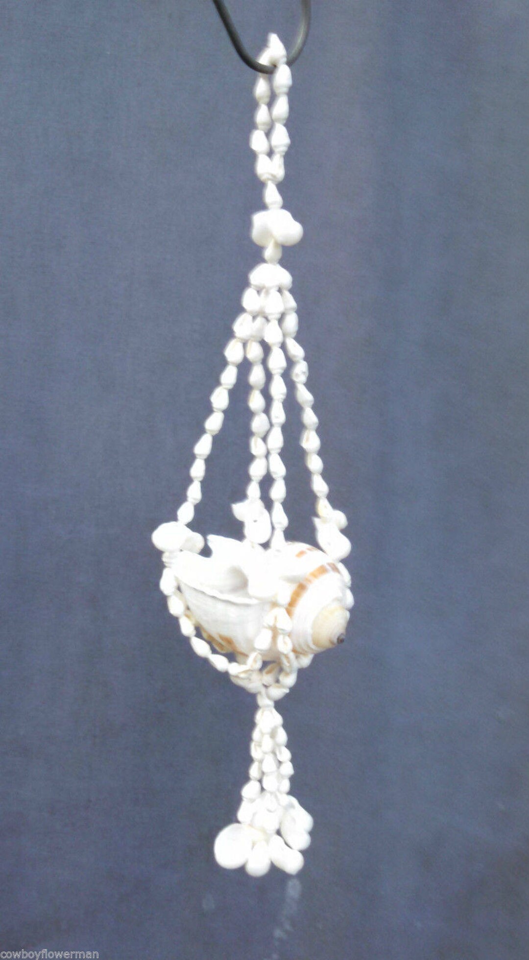 Sea Shell Hanger With Striped Sea Shell - Etsy