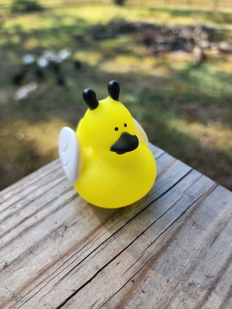Spring Insect Themed Rubber Duck Ducks Bee Lady Bug Firefly Yellow Blue ...