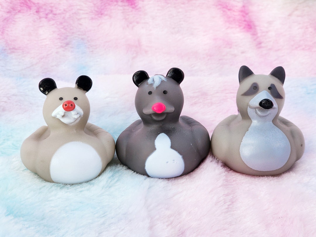 Critter Rubber Ducks: Raccoon, Forest Animal Novelty Gift - Etsy