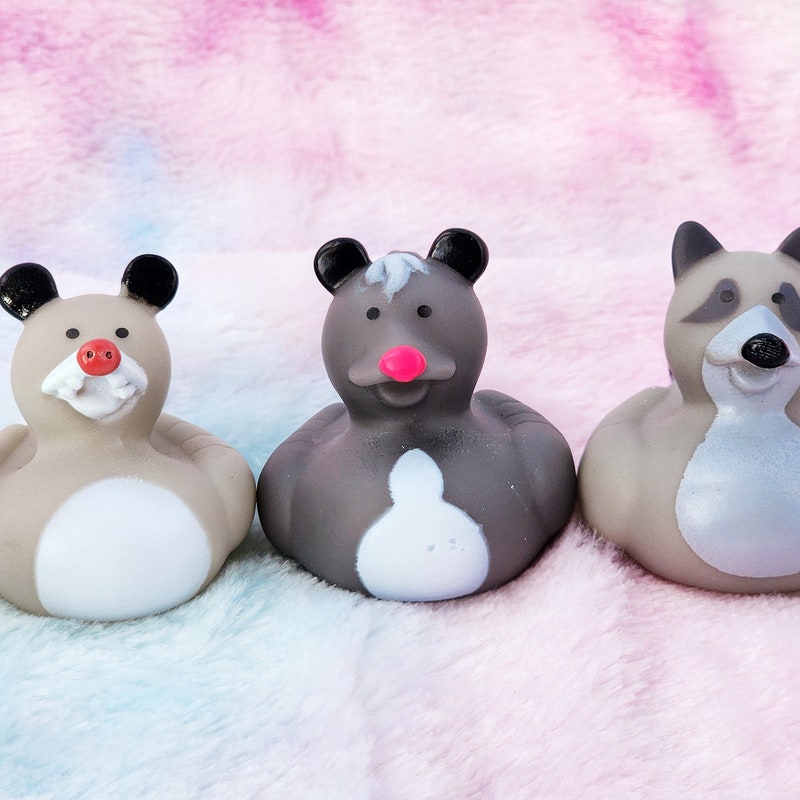 Raccoon Rubber Duck - Etsy