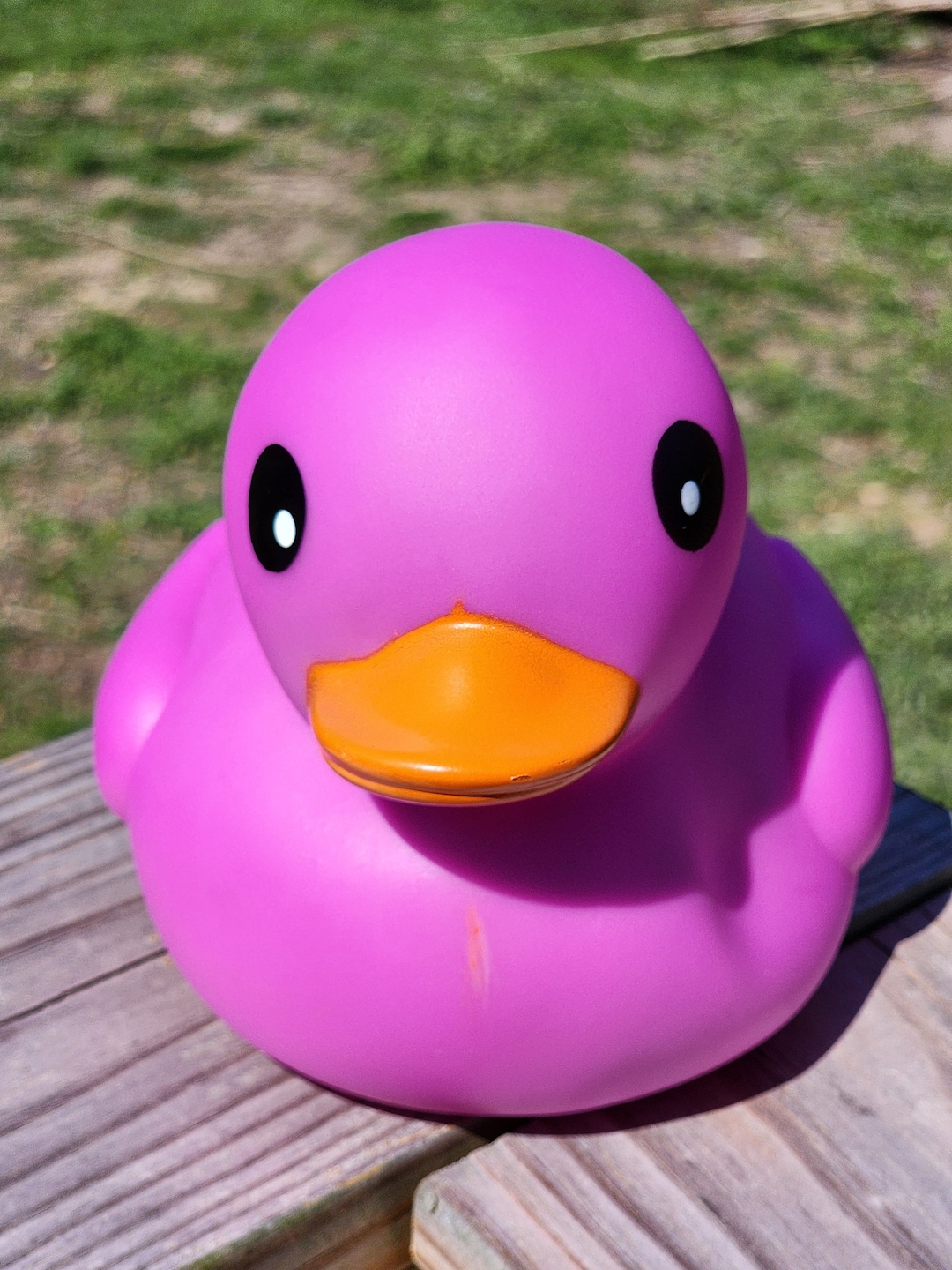 Large Matte Color Themed Pink Rubber Duck Ducks Friend Gift Duck Lover ...