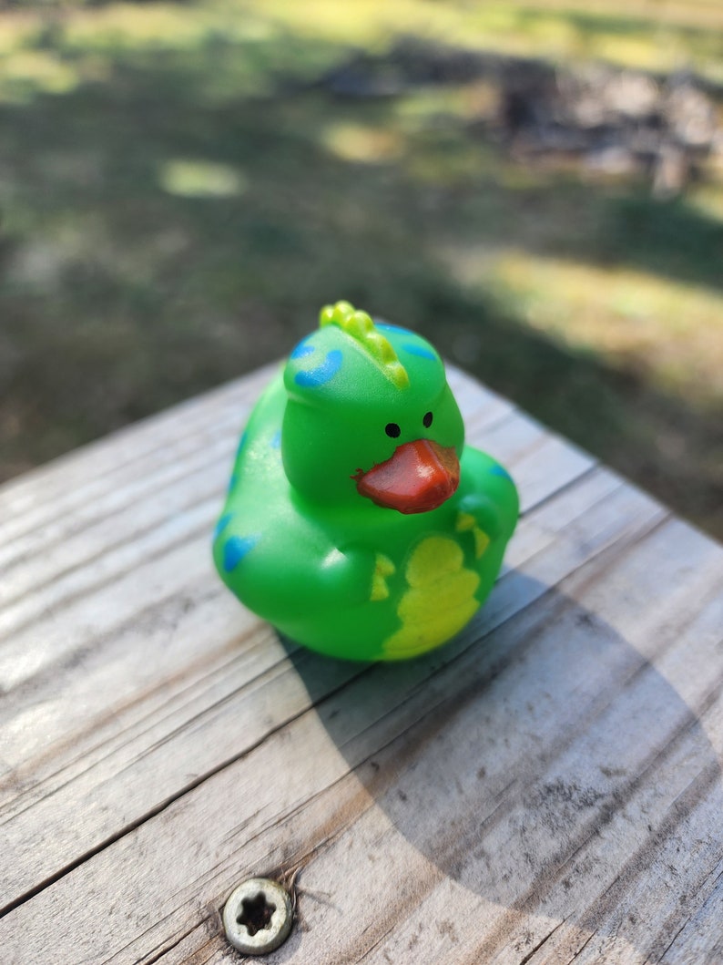 Dinosaur Themed Rubber Duck Ducks Dino Pink Blue Green Individuals or ...