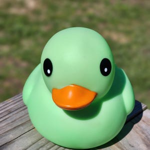 Large Matte Color Themed Green Rubber Duck Ducks Friend Gift Duck Lover ...