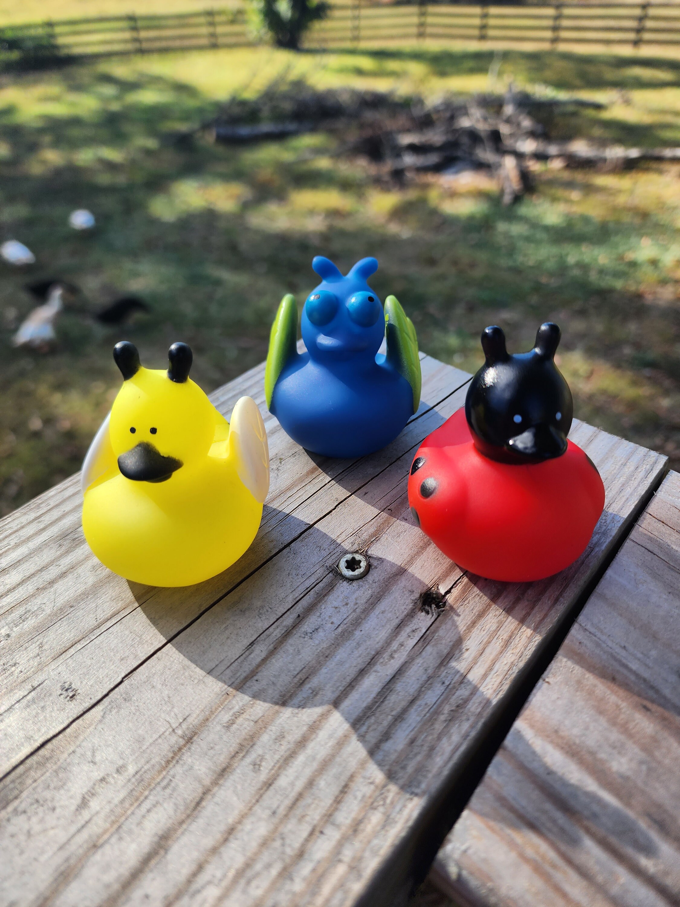 Spring Insect Themed Rubber Duck Ducks Bee Lady Bug Firefly Yellow Blue ...
