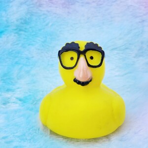 Classic Gag Rubber Ducks | Cute Novelty Gift | Funny Ducks | Gift for ...