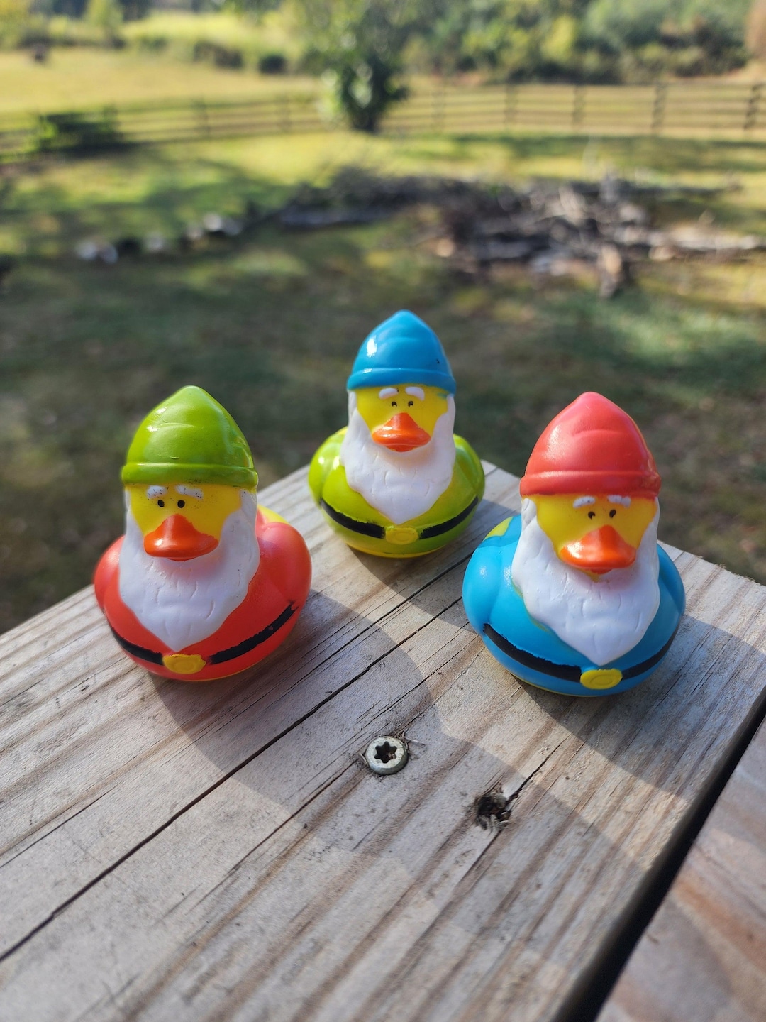 Garden Gnome Themed Yellow Rubber Ducks Gift for Friend Springtime ...
