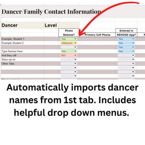 Digital Planner Template, Dance Studio Owner Organizer, Dance Teacher ...