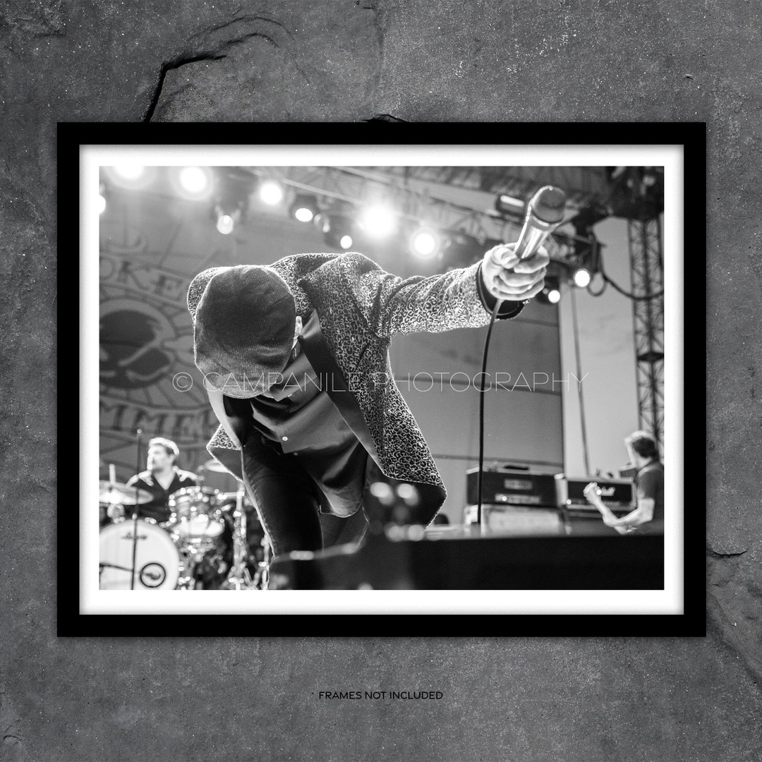 The Bouncing Souls Art Photography, Concert Art Photography, Punk Rock ...