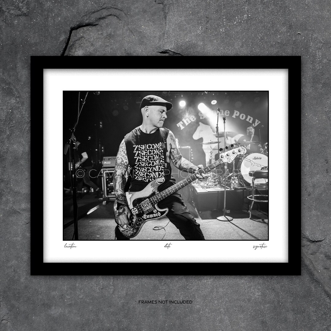 The Bouncing Souls, Rock and Roll Art, Punk Rock Photography, Concert ...