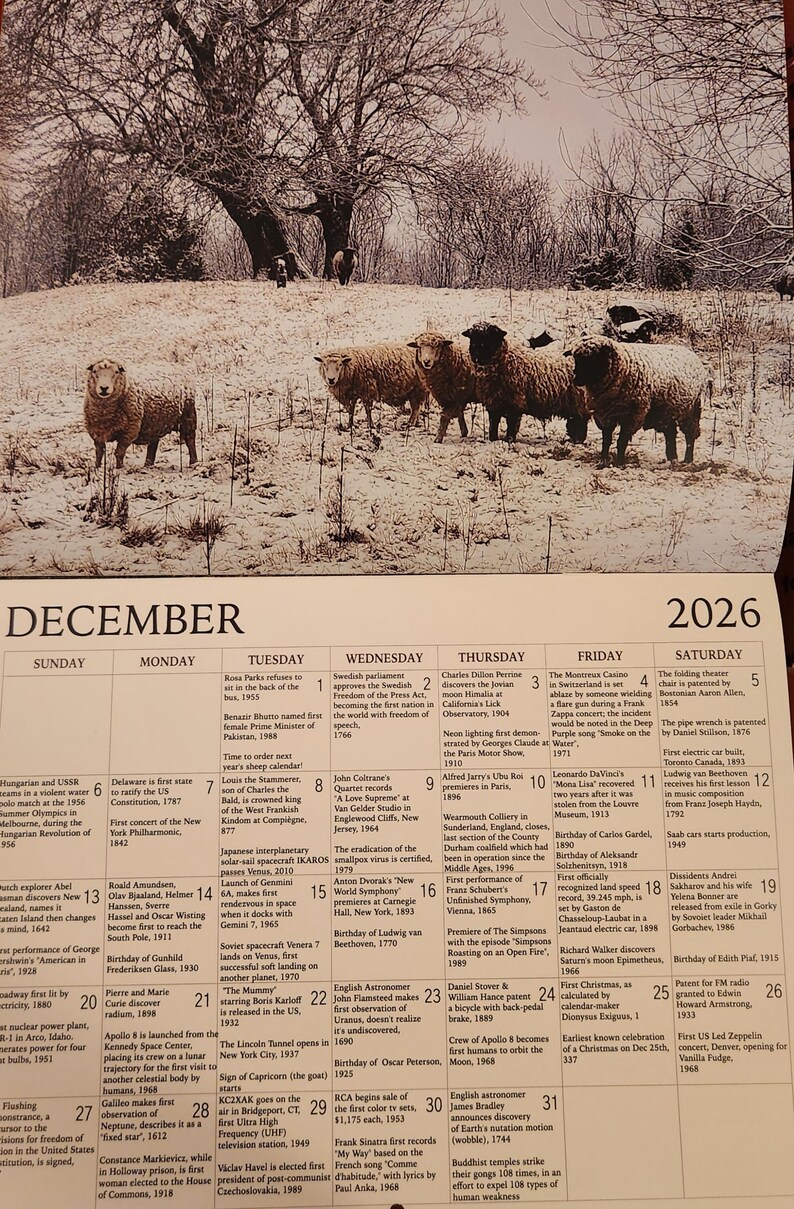 2026 Sheep Calendar. Wall Art Featuring Lambs, Sheep, New England Farm ...