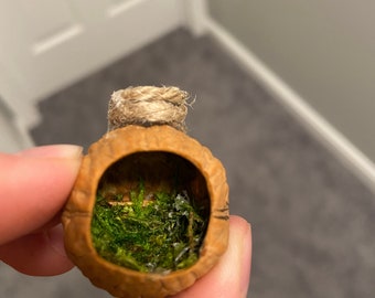 3D Printed Magnetic Spider Platforms Set of 3 Terrarium - Etsy