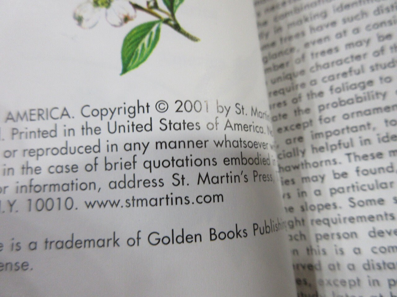 Golden Field Guide Trees of North America St Martin's Press by Frank ...