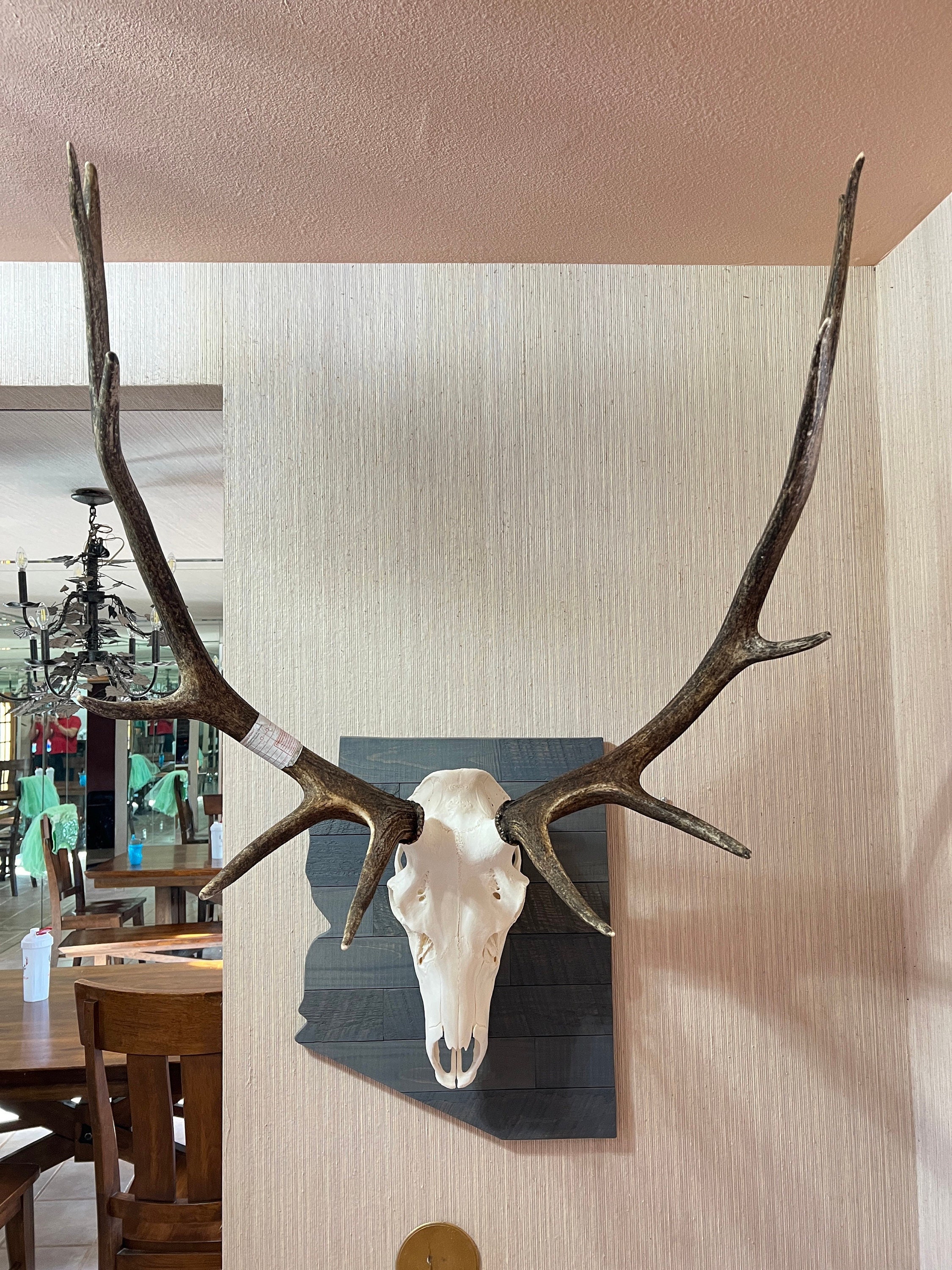 Wooden Arizona State Sign Wall Art Decor Home State Sign | Etsy