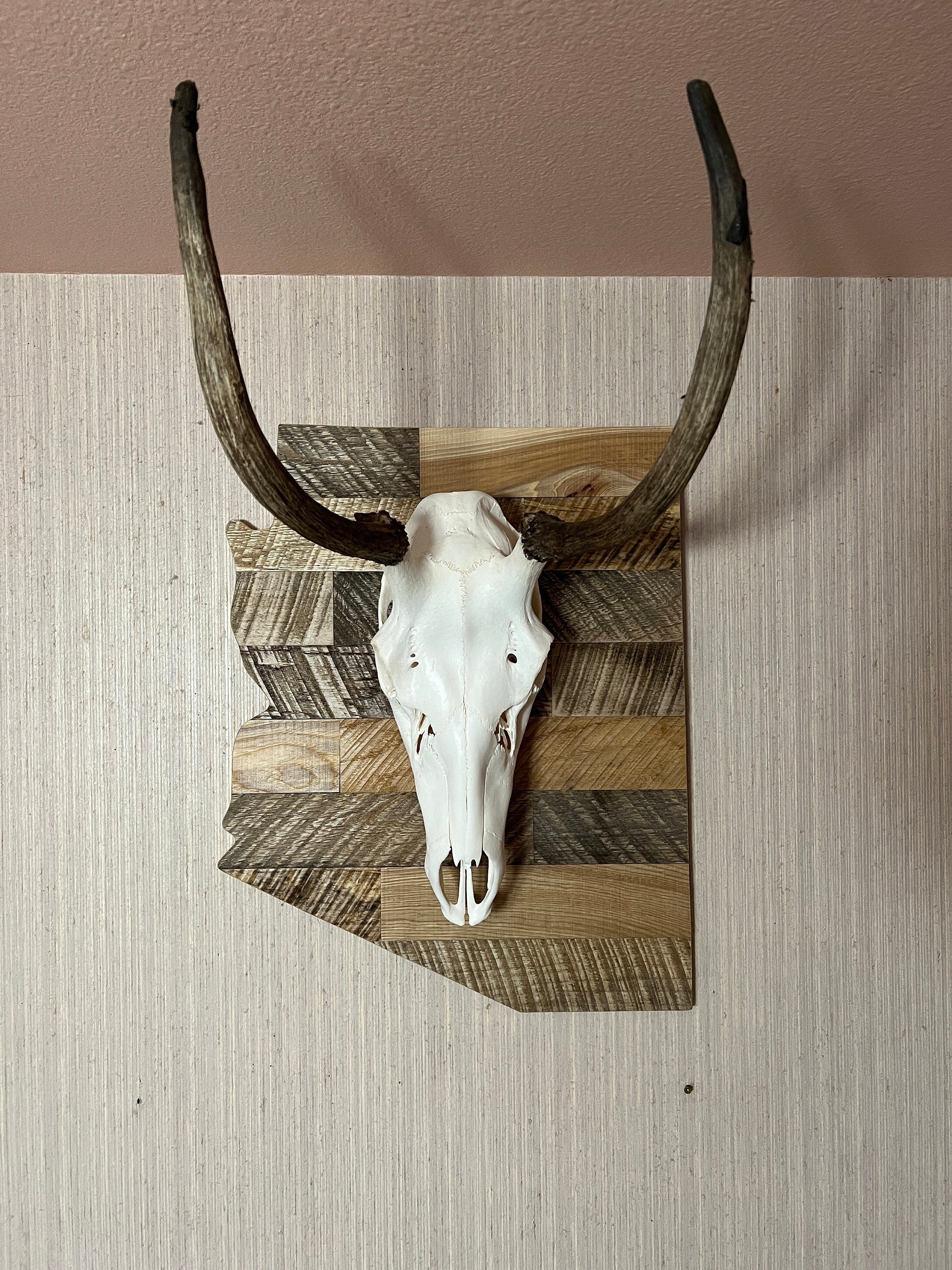 Wooden Arizona State Sign Wall Art Decor Home State Sign | Etsy