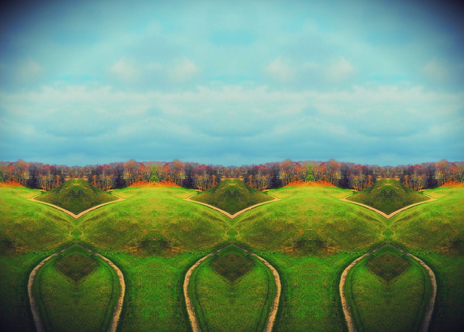 Green Landscape Print, Optical Illusion Wall Art Photography, Home ...