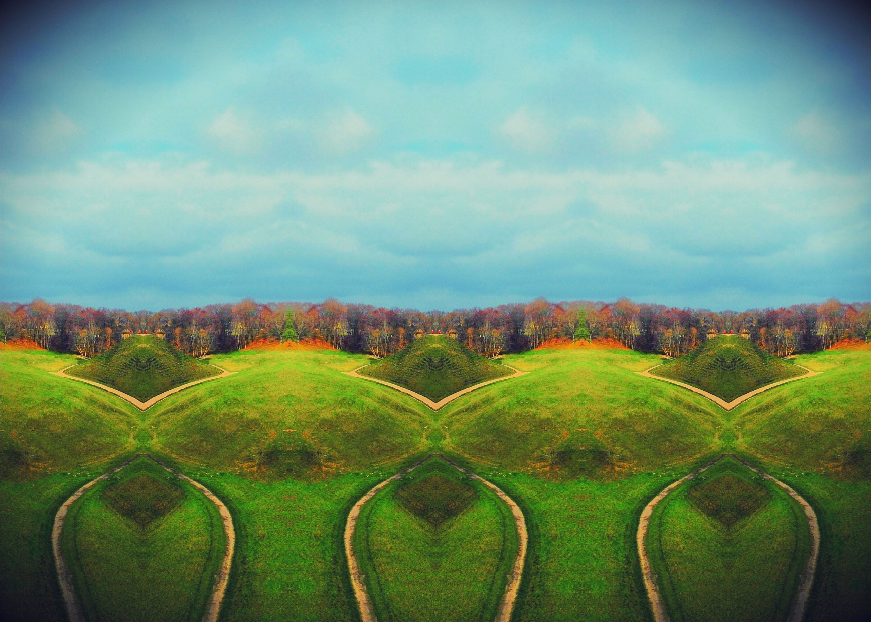 Green Landscape Print Optical Illusion Wall Art Photography - Etsy