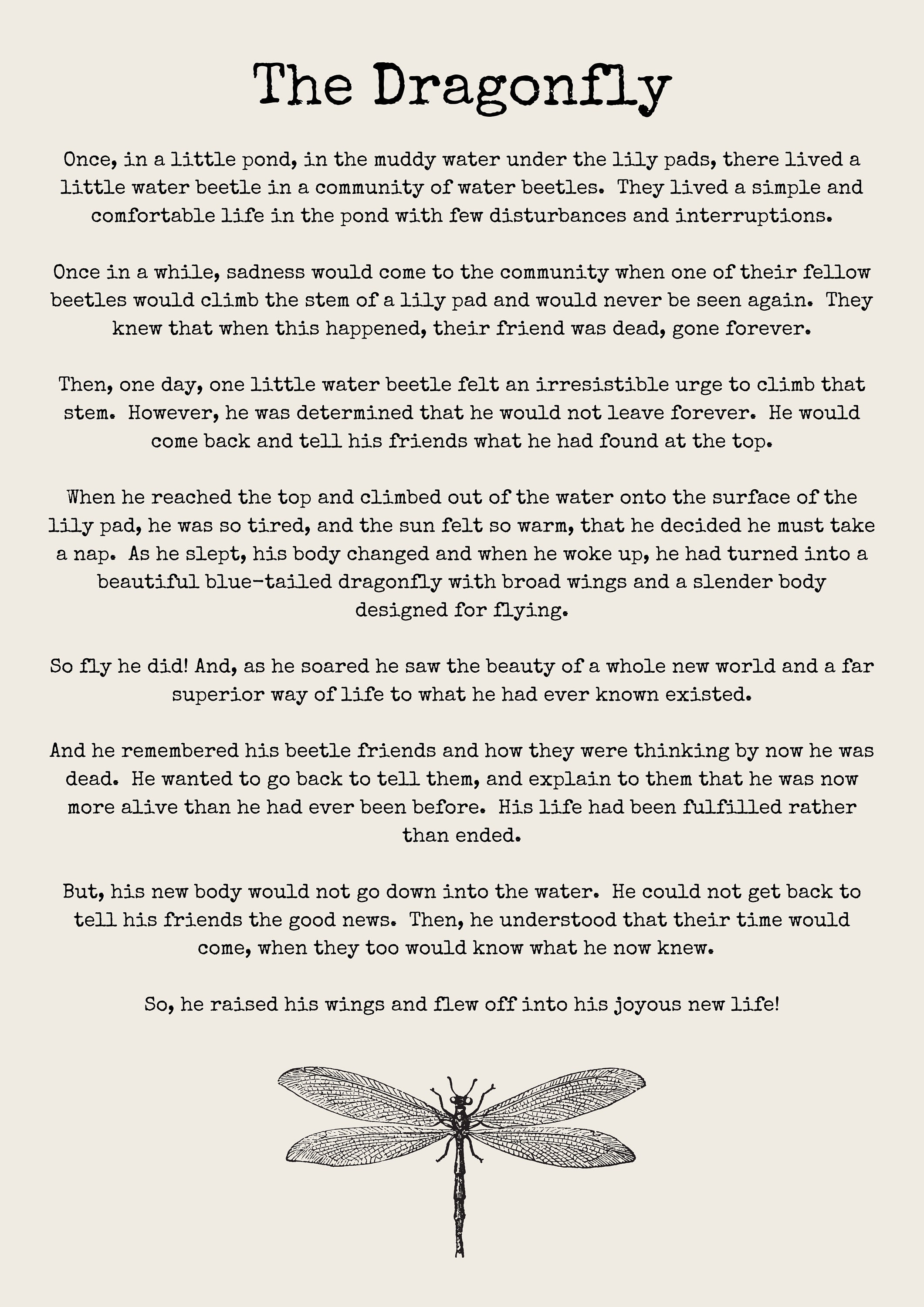 Dragonfly Story Print | Print or Digital Download | A4 A3 | Memorial ...